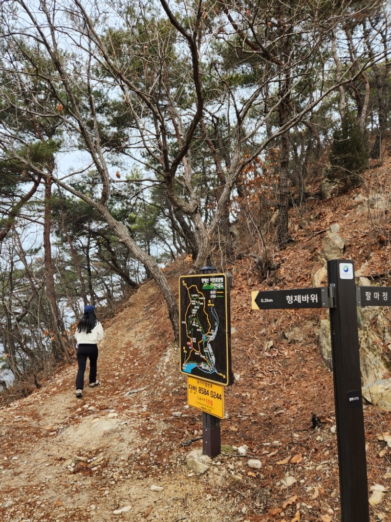 대전 장태산 자연휴양림 등산코스 자연휴양림~전망대~형제바위~형제산~팔마정~커피인터뷰 네이버 블로그