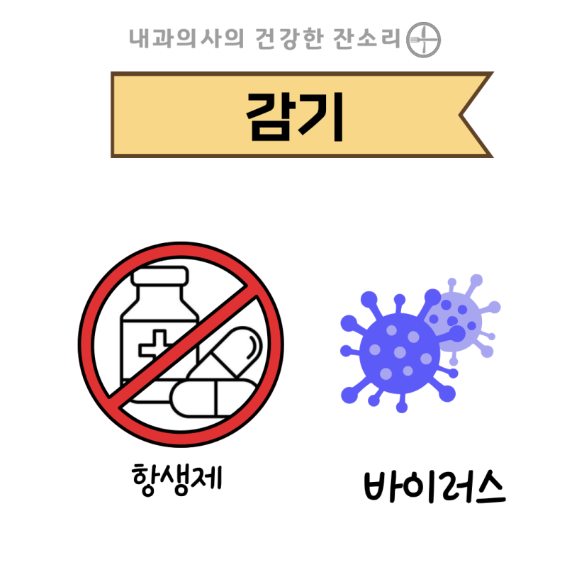 감기 항생제가 필요한 순간 감기 항생제 처방 이유 네이버 블로그