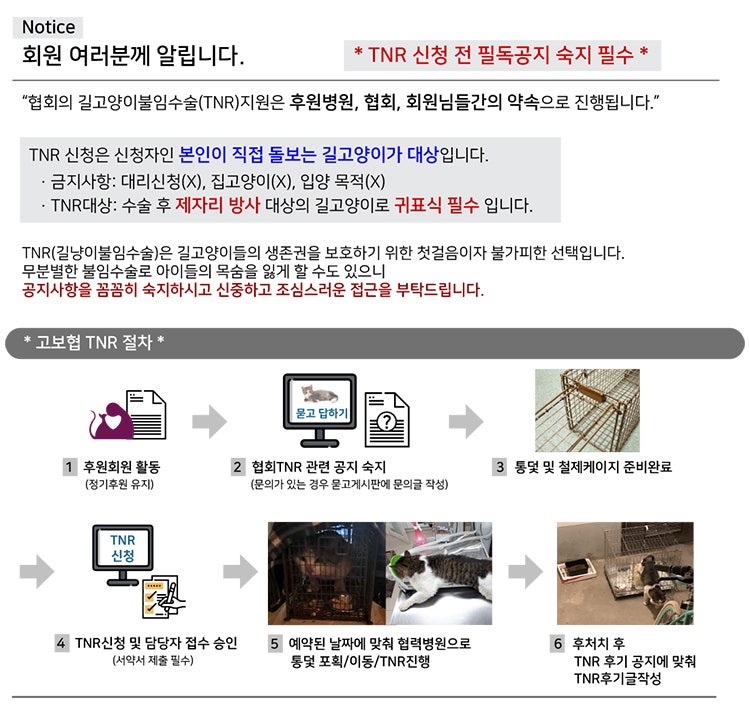 별장 냥이들 TNR준비 1)TNR 지원 알아보기 : 네이버 블로그