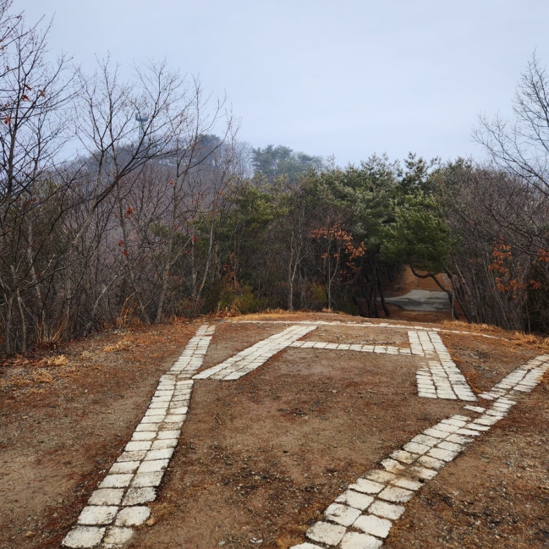 대전 장태산 자연휴양림 등산코스 자연휴양림~전망대~형제바위~형제산~팔마정~커피인터뷰 네이버 블로그