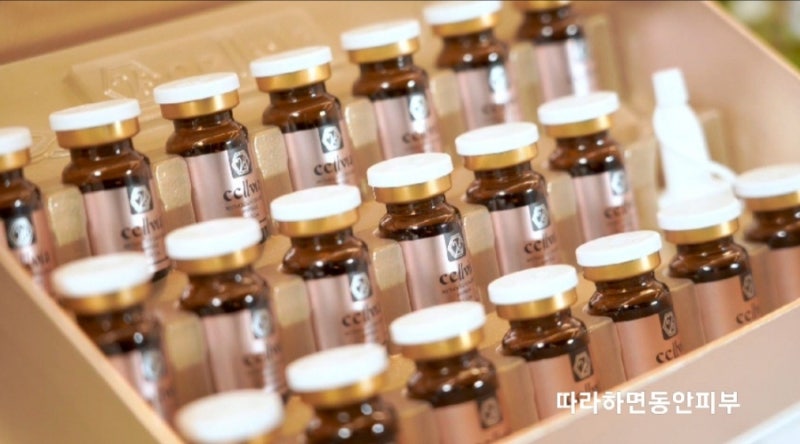 비아블 셀비아 성형화장품 줄기세포화장품 셀비아앰플 리턴화장품 추천 네이버 블로그