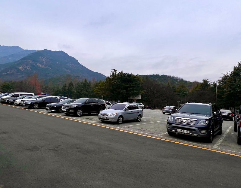 구미 맛집 금오산풀하우스 수제비와 해물파전이 기가막힌 곳 황홀한 금오산 경치는 덤 네이버 블로그