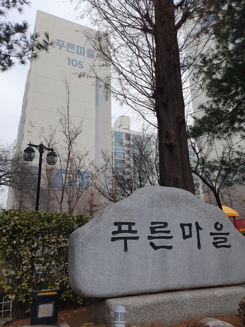 사람이나 아파트나 관리를 잘해야한다 일원동 푸른마을 아파트 임장 네이버 블로그