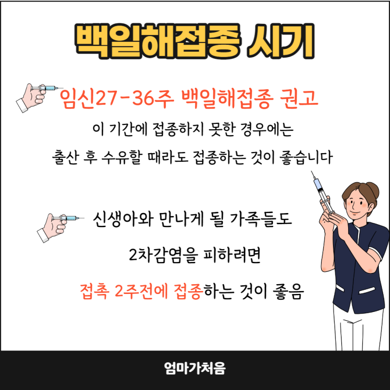 백일해주사 예방접종 꼭 맞아야할까 시기 가격 가족 부작용 네이버 블로그