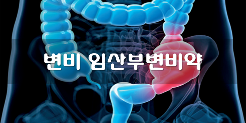 마그밀 마그밀정 임산부 변비약 다이어트 노인 제산제 위산중화 수산화 마그네슘 효능 효과 복용법 부작용 가격 품절 네이버 블로그