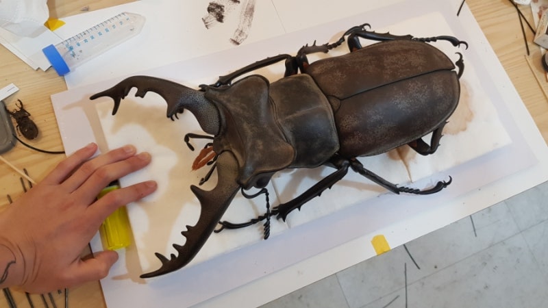 걍사슴벌레 조형물 : 네이버 블로그