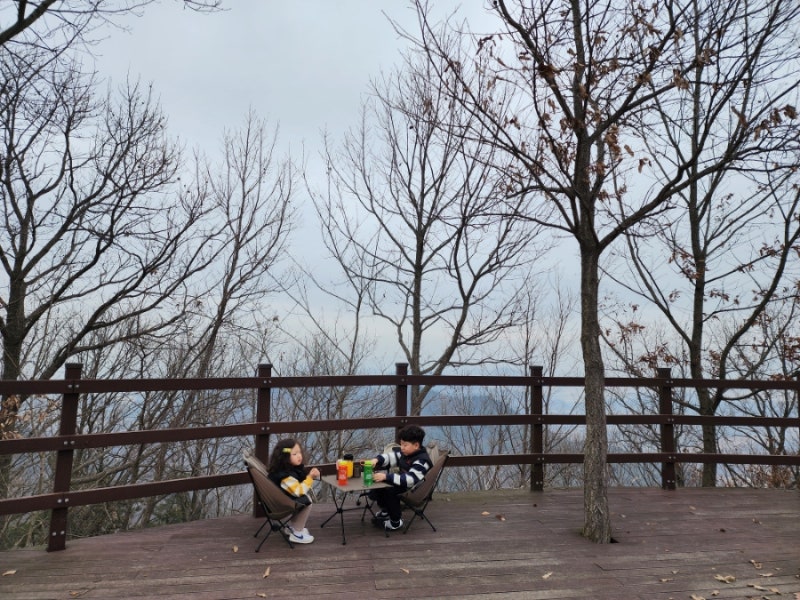 세종여행 전월산 무궁화테마공원 유아숲체험 네이버 블로그