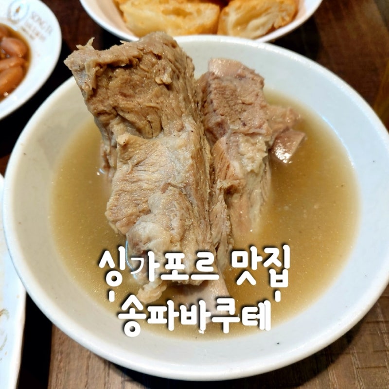 싱가포르 맛집 여행코스로 추천드리는 송파바쿠테 차이나타운 포인트 네이버 블로그