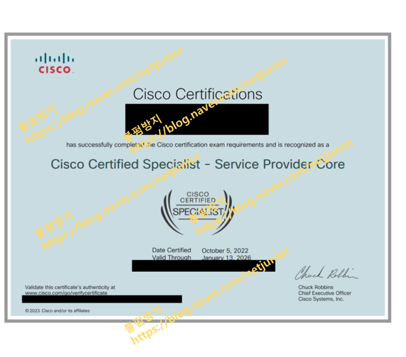 CCIE 준비부터 합격까지 리얼 후기 (2/3) : 네이버 블로그