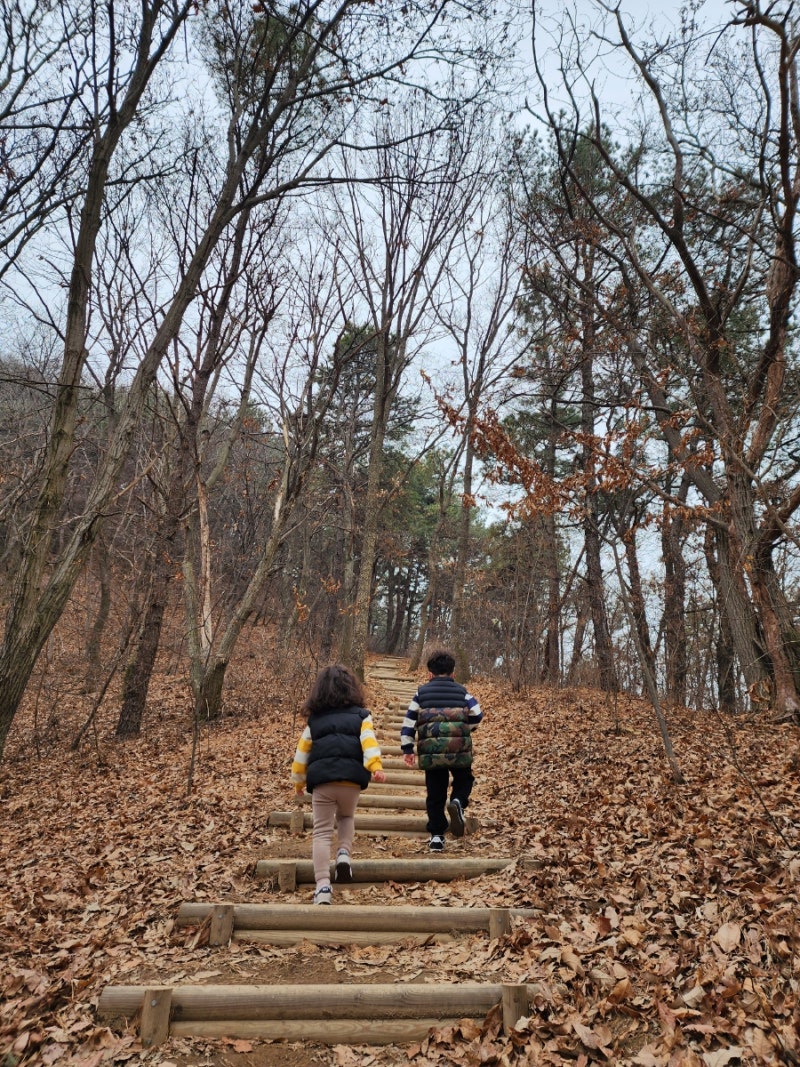 세종여행 전월산 무궁화테마공원 유아숲체험 네이버 블로그
