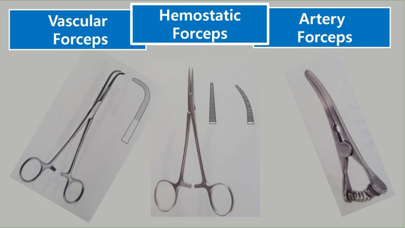 Hemostatic Forceps 지혈겸자 : 네이버 블로그