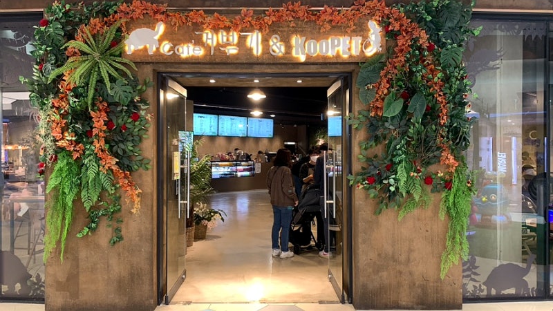 판교 파미어스몰 카페 ‘cafe거부기앤쿠펫 살면서 거북이 제일 많이 본 날 네이버 블로그