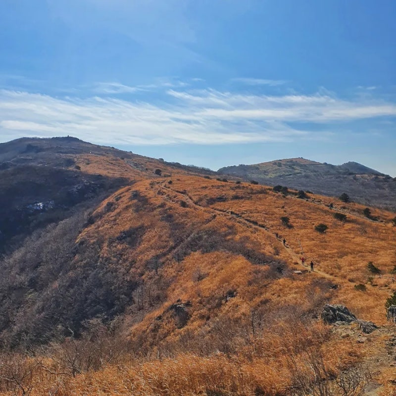 울산 가을 억새 명소 영남알프스 신불산 하늘억새길 영신간 코스 네이버 블로그