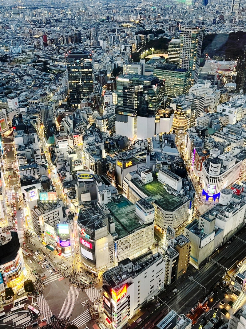 도쿄 시부야 스카이 전망대 가는법 가격 입장권 입장 시간 당일 예약 일몰 야경 에스컬레이터 라운지 네이버 블로그