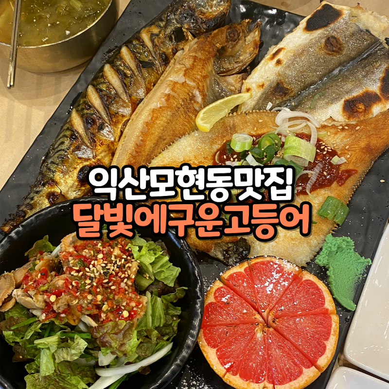 익산 모현동 맛집 달빛에 구운 고등어 모현점 모듬구이 한상 네이버 블로그