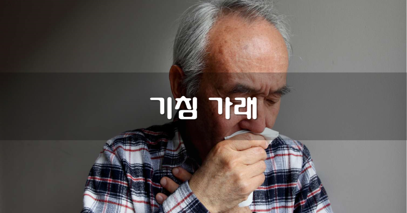 코푸정 코푸 기침 가래 진해거담제 처방 성분 효능 효과 복용법 부작용 주의사항 코데인 네이버 블로그