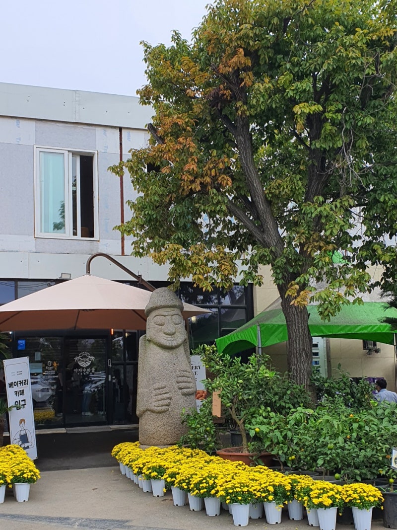 화성 씨랜드 야자수카페 모르고 갔다가 낭패 네이버 블로그