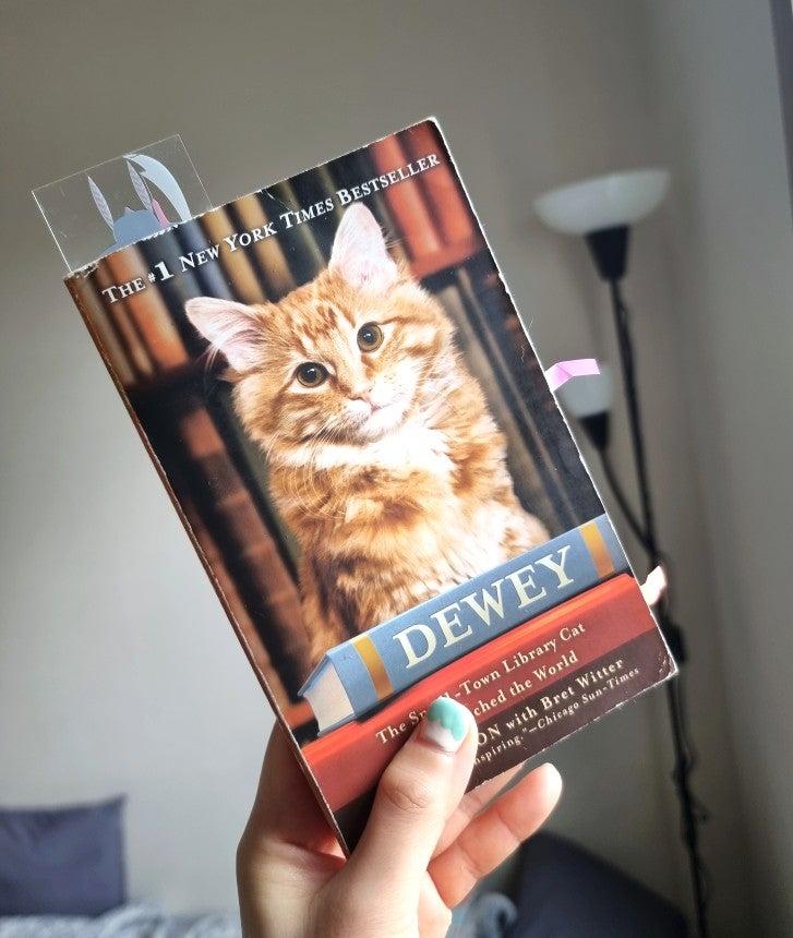 92 Dewey #원서읽기 (도서관고양이 듀이) : 네이버 블로그