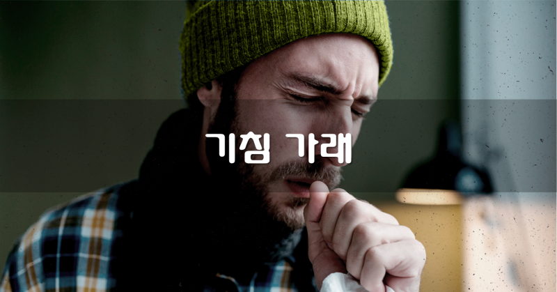 코푸정 코푸 기침 가래 진해거담제 처방 성분 효능 효과 복용법 부작용 주의사항 코데인 네이버 블로그