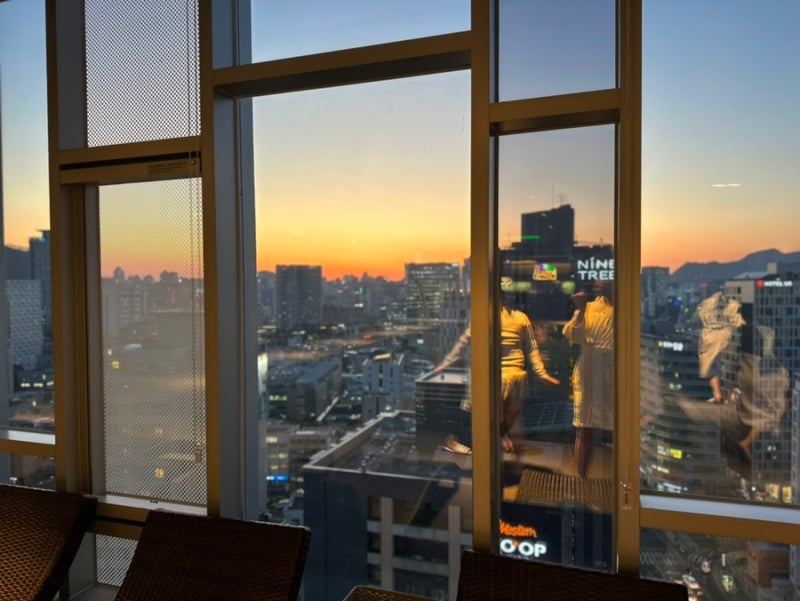동대문 노보텔 엠버서더 호캉스 후기 수영장조식 네이버 블로그