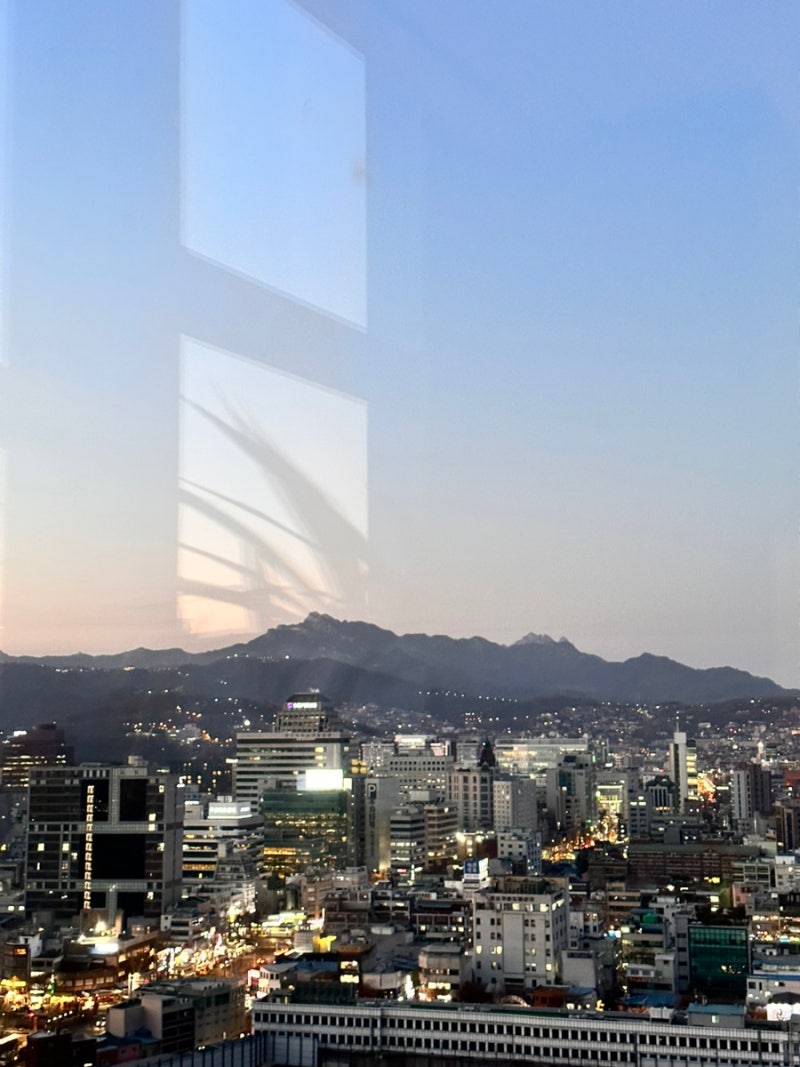 동대문 노보텔 엠버서더 호캉스 후기 수영장조식 네이버 블로그