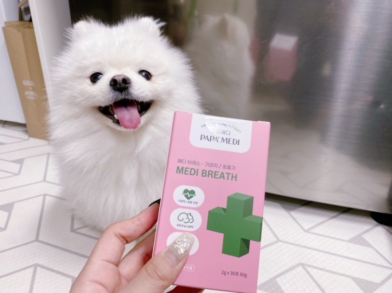 강아지 협착증 켁켁거림 꺽꺽 거위 울음 소리는 파파메디로 관리해요 네이버 블로그