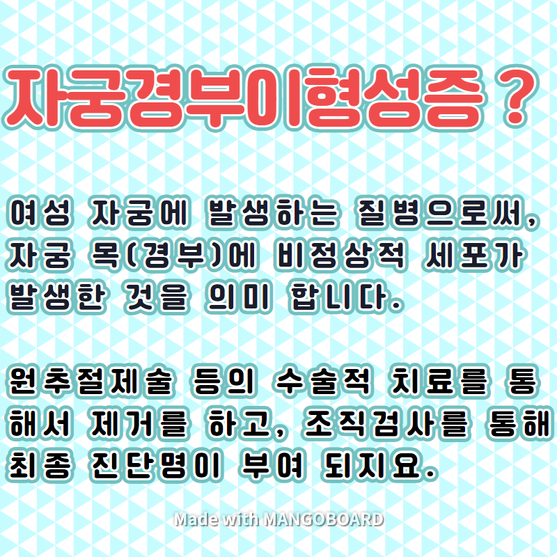 자궁경부이형성증 D06코드 및 N872 암진단비 Cin3 보험금 받기 네이버 블로그