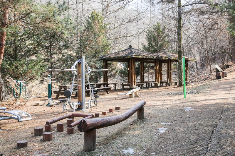 충북알프스 자연휴양림 자연 속에서 즐기는 휴식 네이버 블로그