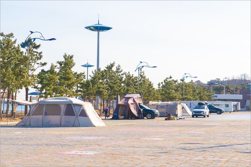 경주 나정고운모래해변 해수욕장 차박 캠핑장 추천 네이버 블로그