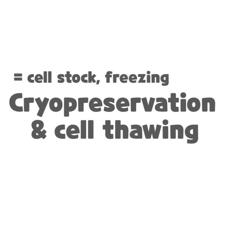 Cryopreservation & Cell Thawing Protocol 정리 : 네이버 블로그