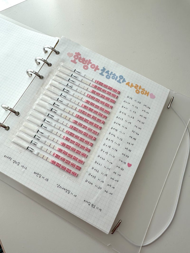 임신극초기증상 임신초기 피비침 유산기 입덧 네이버 블로그