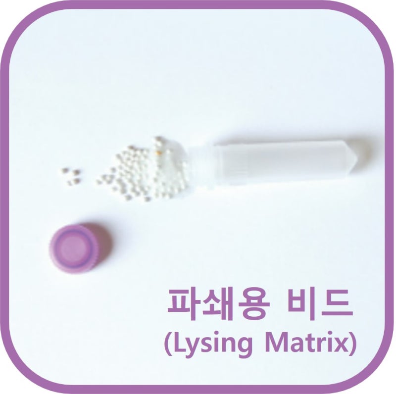 Soil DNA추출이 까다로운 이유와 고농도,고순도 DNA 추출 방법 : 네이버 블로그
