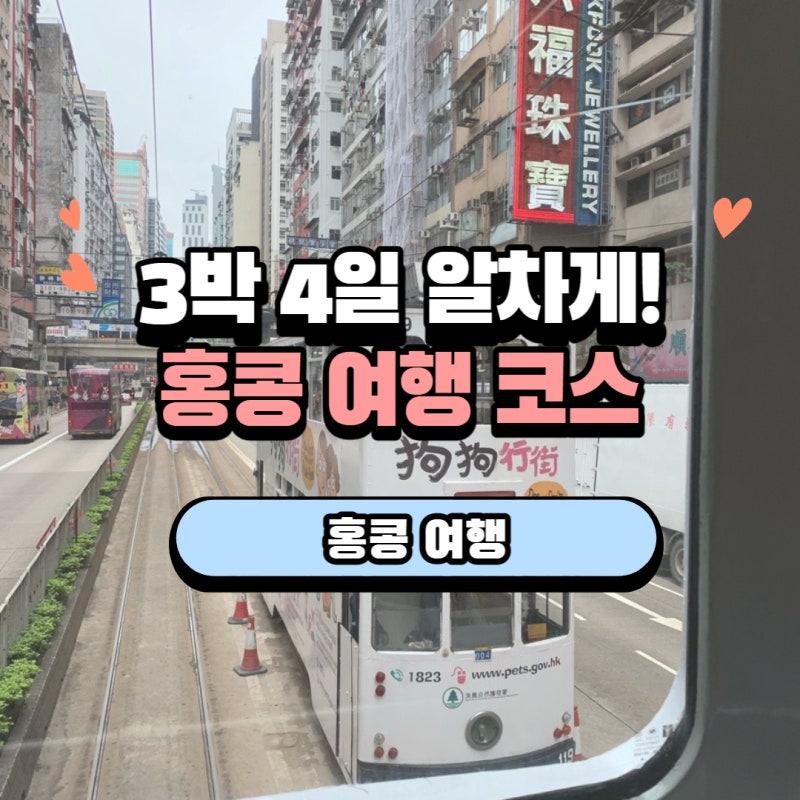네이버 인플루언서