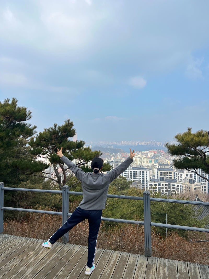서울 초보자 등산 코스 서달산 동작충효길 1코스 아주 쉬운 뒷동산 코스 네이버 블로그