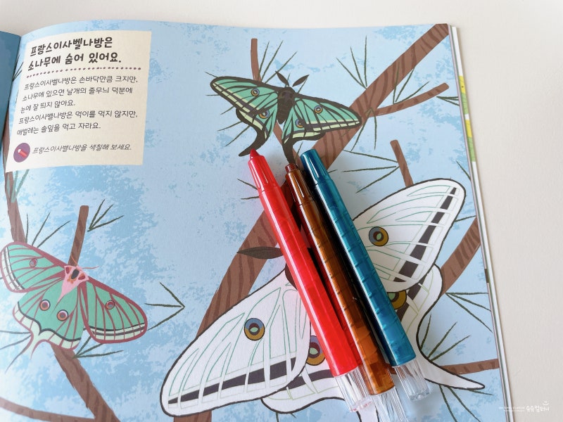 4세 워크북 별똥별 나의 자연수첩 스티커 색칠놀이 네이버 블로그