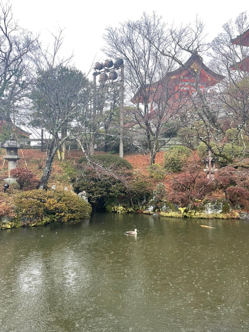오사카 교토 3박 4일3일차 금각사 청수사기요미즈데라 여행일정 및 맛집 방출 네이버 블로그