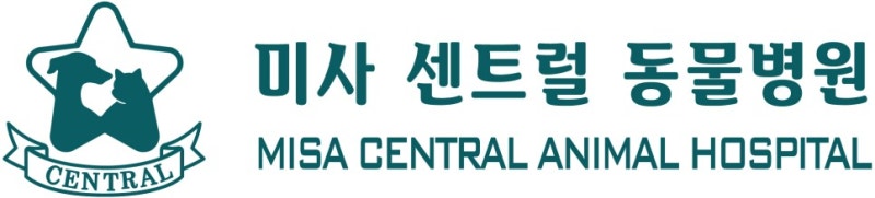 하남미사고양이치아흡수성병변 FORL(Feline Odontoclastic Resortive Lesions) : #미사센트럴동물 ...