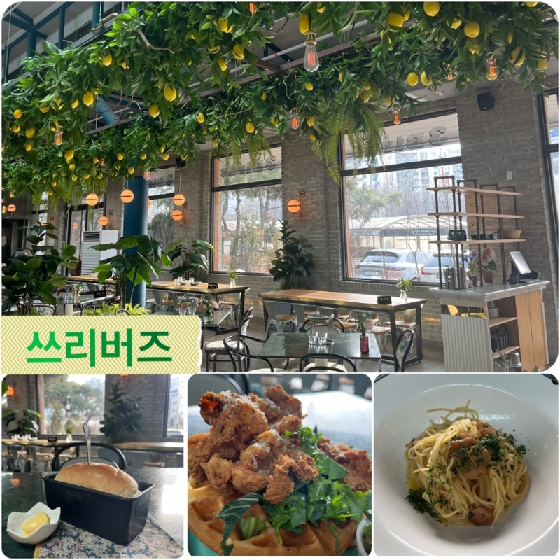 서울반포 강남터미널 브런치 맛집 ‘쓰리버즈3birds 센트럴시티점 네이버 블로그