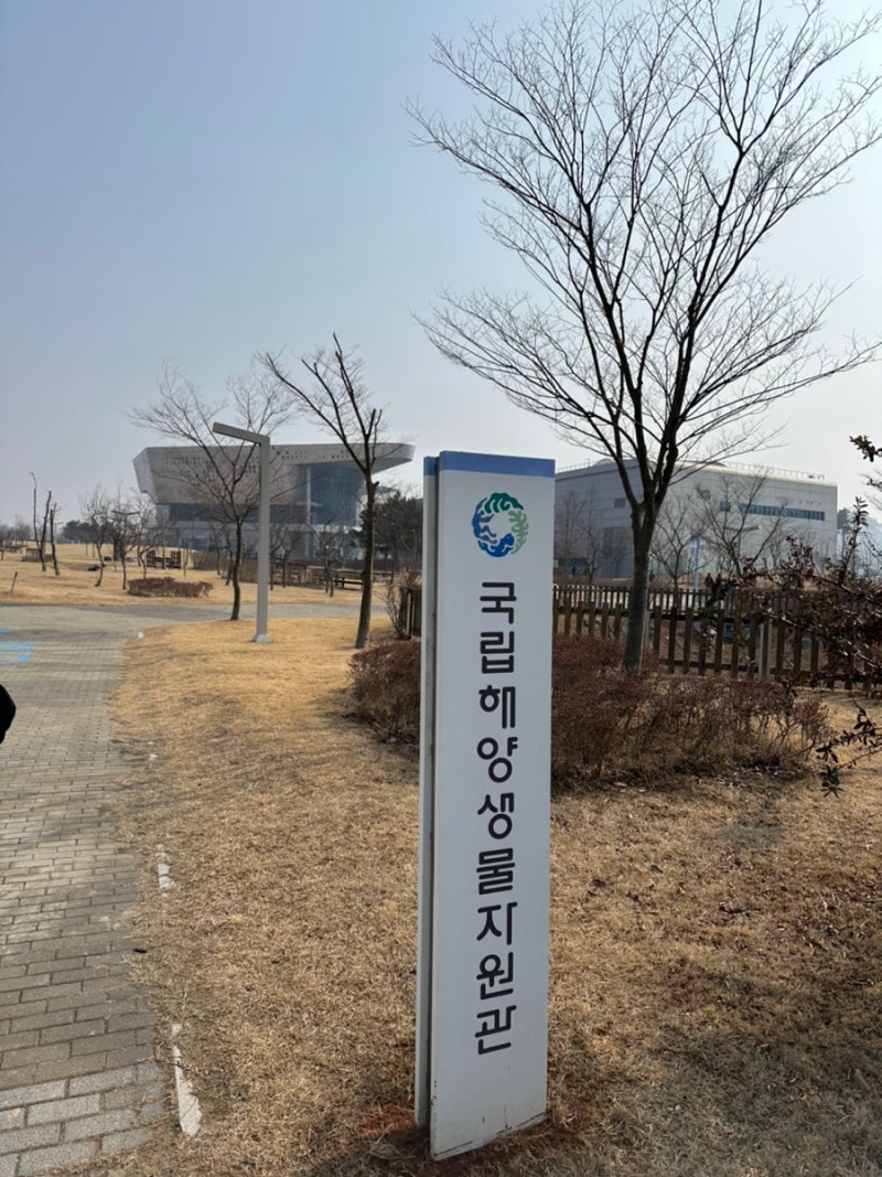 아이와 함께 하는 여행 서천 씨큐리움국립해양생물자원관 네이버 블로그