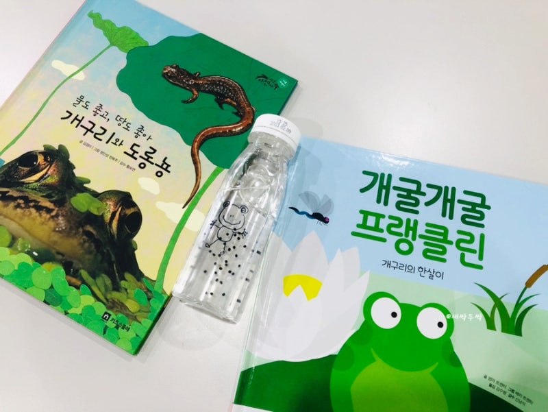 개구리한살이 관찰 개구리알 키우기 Part1 올챙이 부화과정과 부화 꿀팁 네이버 블로그