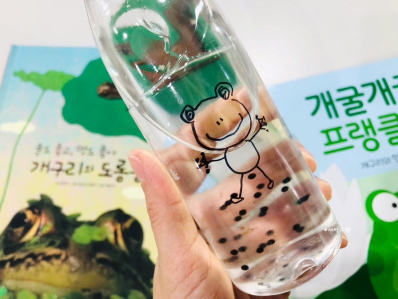 개구리한살이 관찰 개구리알 키우기 Part1 올챙이 부화과정과 부화 꿀팁 네이버 블로그