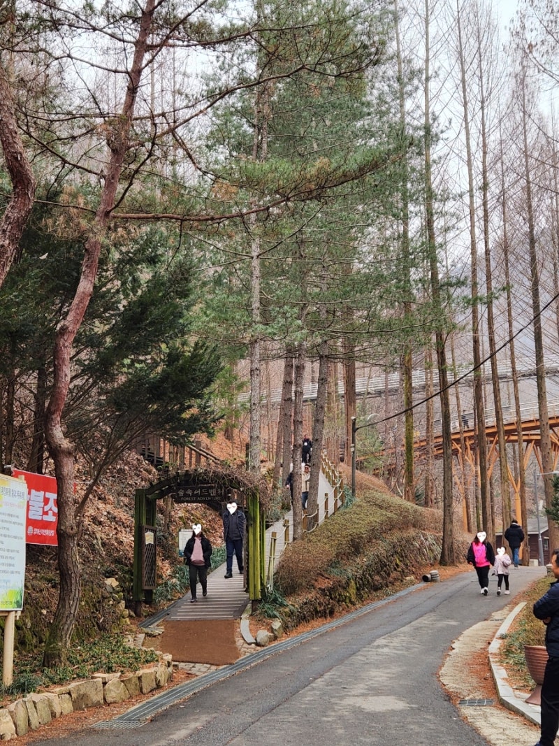 대전 장태산 자연휴양림 등산코스 자연휴양림~전망대~형제바위~형제산~팔마정~커피인터뷰 네이버 블로그