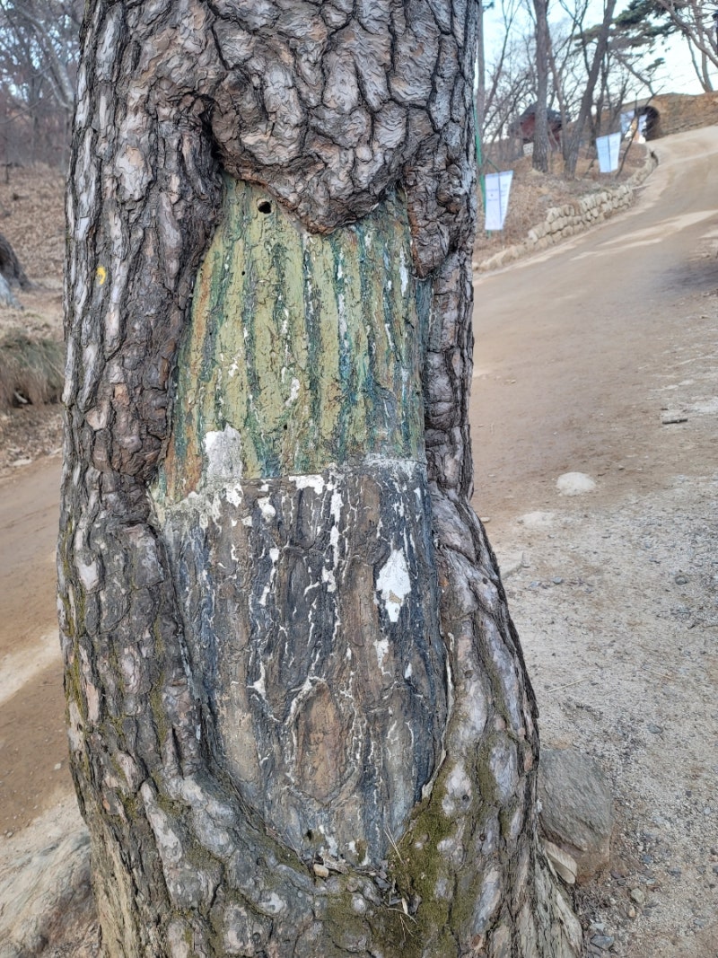 강화도 가볼만한곳 기운좋은 전등사와 강화 삼랑성 : 네이버 블로그