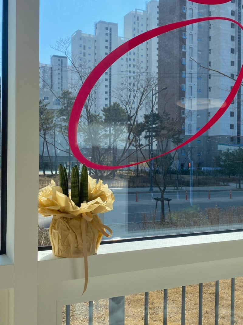 오송 꽃집 오송플로시아오송꽃다발오송꽃바구니오송꽃집오송 원데이클래스오송 화분오송 개업화분오송 집들이화분오송 승진