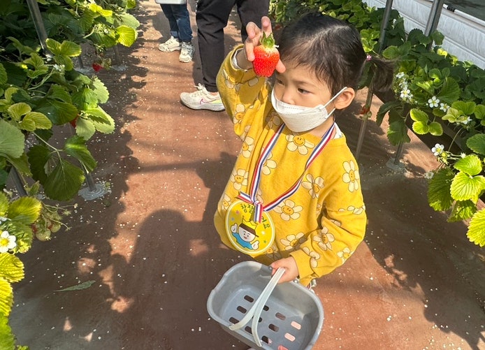 부산 강서구 아이랑 가성비 딸기체험농장 플랜비 소요시간 비용 솔직후기 네이버 블로그
