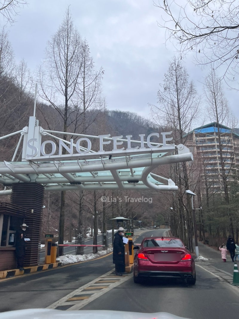 홍천 비발디파크 소노펠리체 오션월드 월풀스파 숙박 후기 네이버 블로그