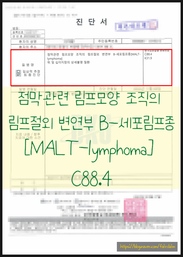 점막관련 림프모양 조직의 림프절외 변연부 B 세포림프종 Malt Lymphoma C884 암 진단비 지급 가능합니다