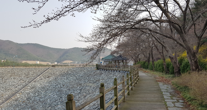 경북 영천호 영천댐 하류공원 캠핑장 임고강변공원 야영장 노지 차박 캠핑카 여행 네이버 블로그