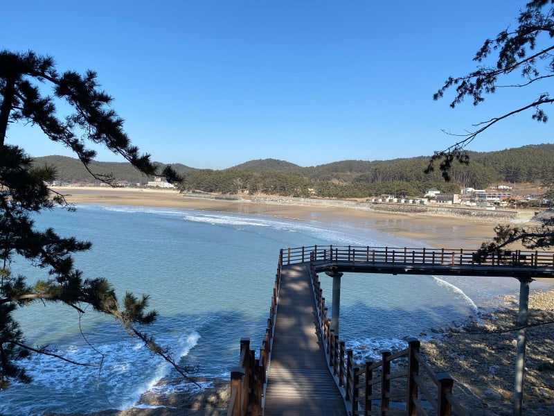뭍닭섬 And 만리포해수욕장전망타워 이른 봄날 태안 해변길 서해랑길 산책 네이버 블로그