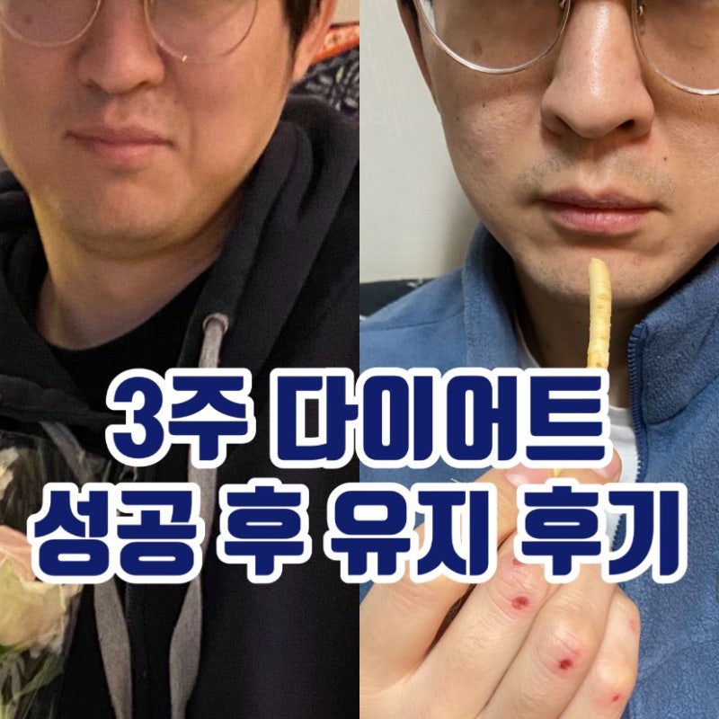 솔직후기 스위치온다이어트3주 다이어트 저탄수화물 식단 운동 성공 네이버 블로그
